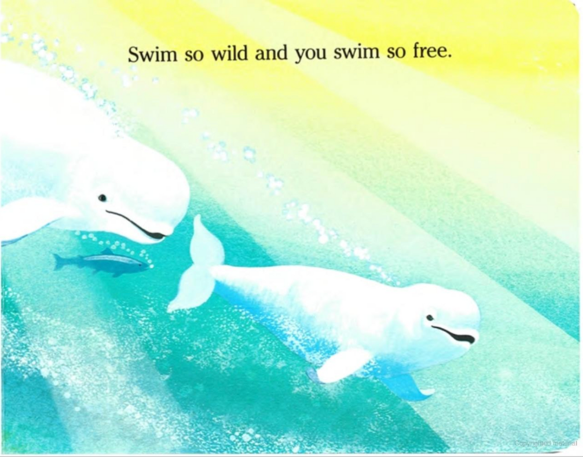 Baby Beluga – Citizen Kid